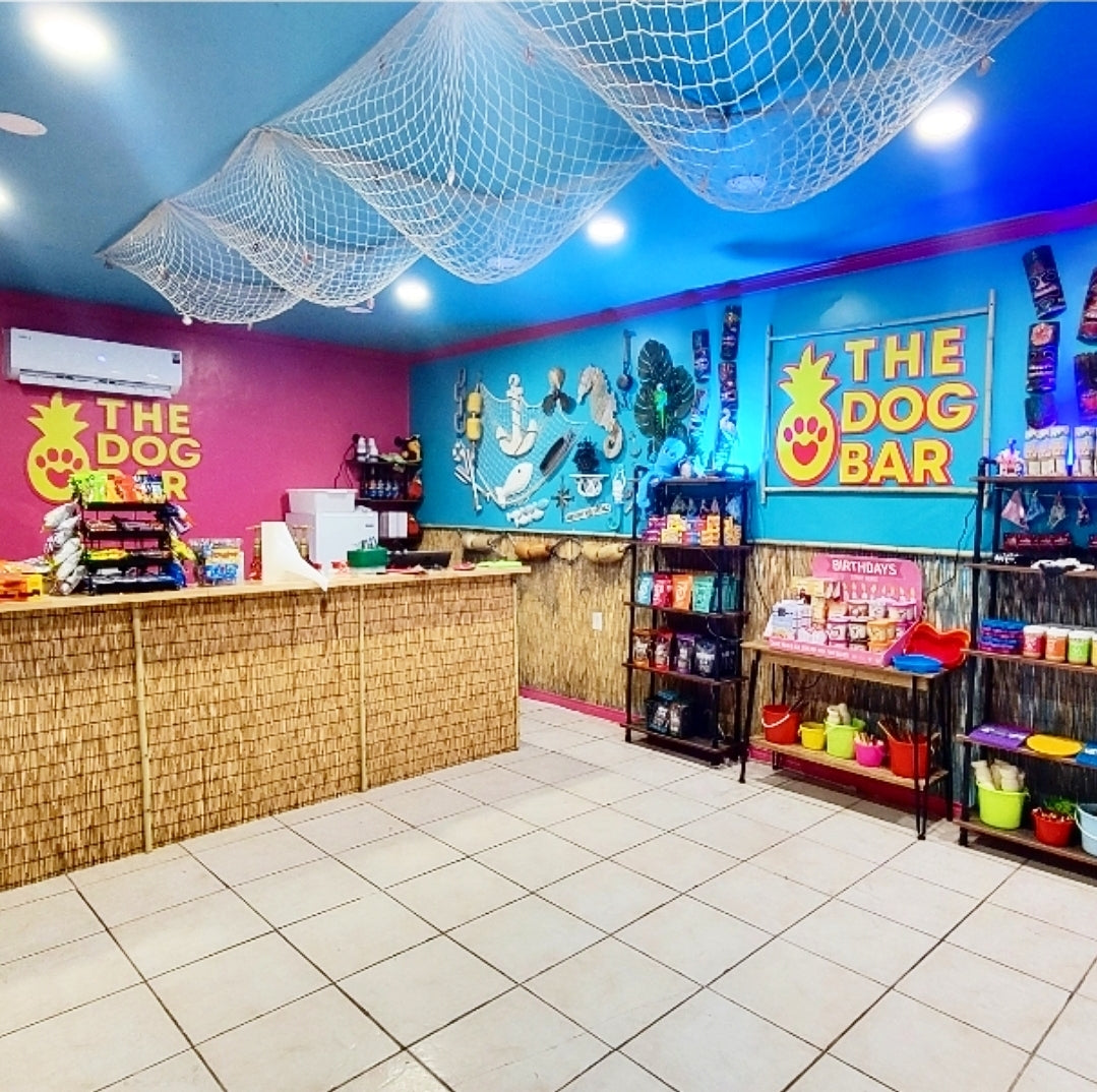 The Dog Bar a Dog Friendly Bar in Houston Texas in the Montrose Area.