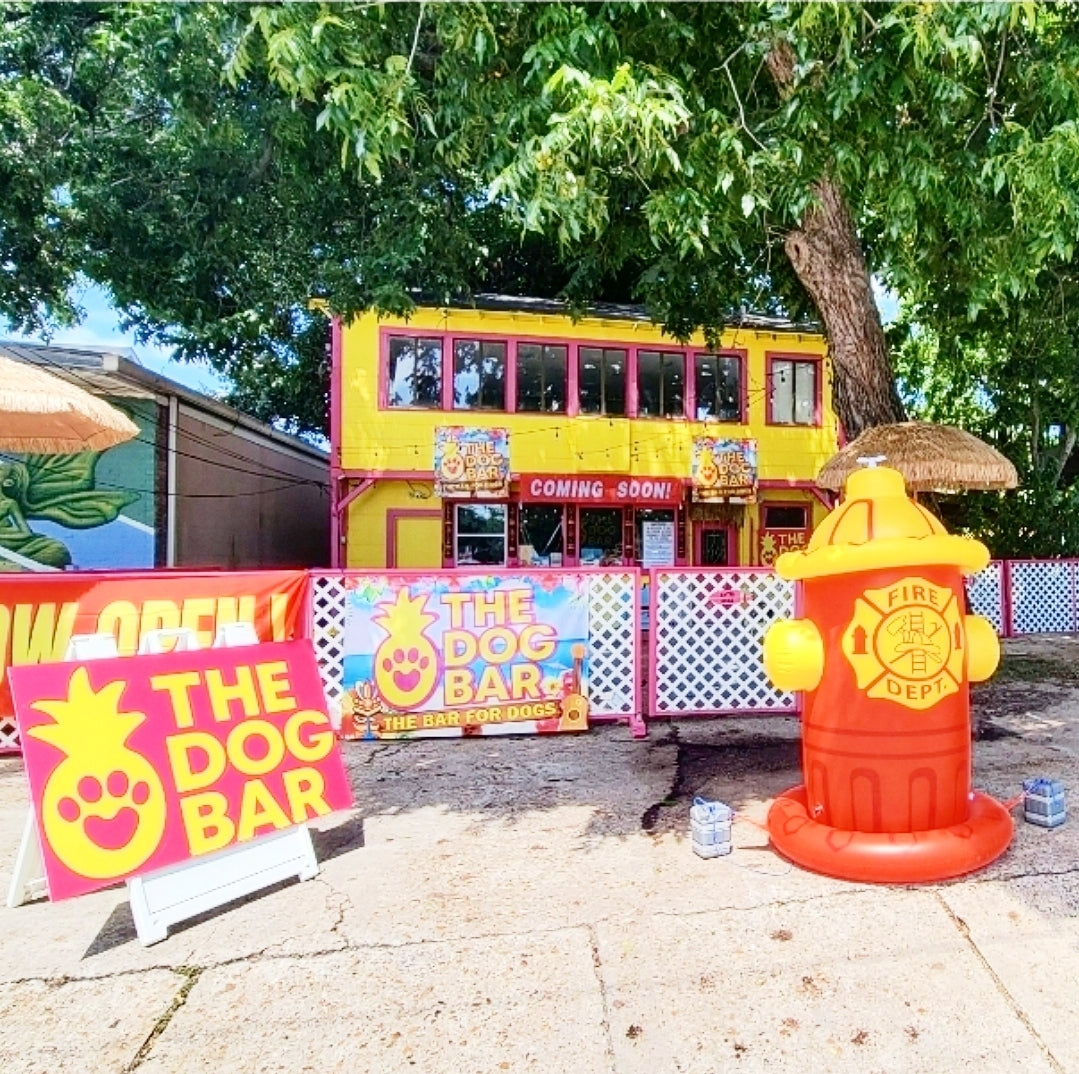 The Dog Bar a Dog Friendly Bar in Houston Texas in the Montrose Area.