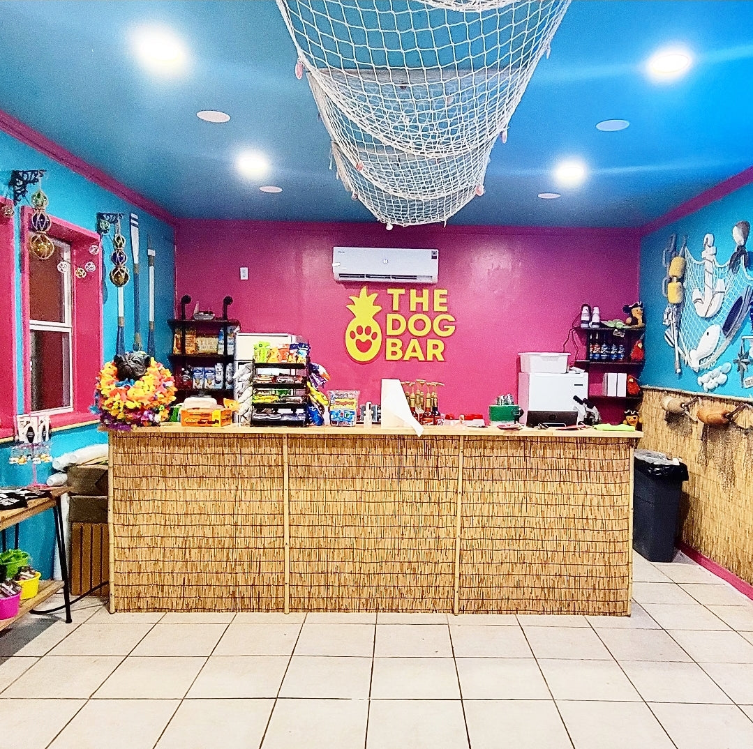 The Dog Bar a Dog Friendly Bar in Houston Texas in the Montrose Area.