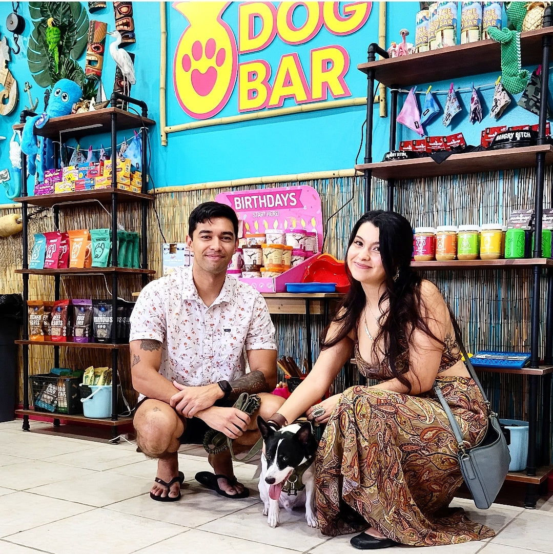 The Dog Bar a Dog Friendly Bar in Houston Texas in the Montrose Area.